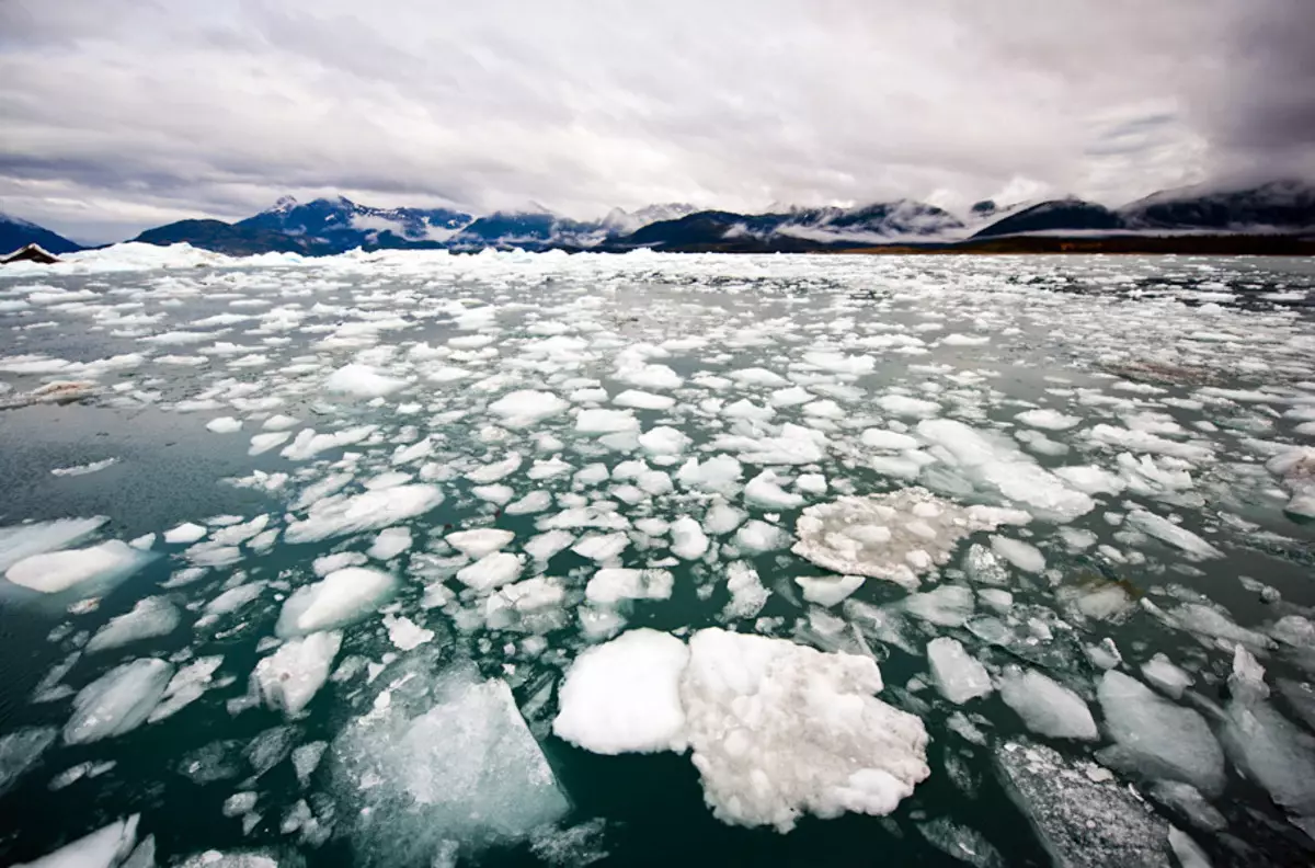 Rêwîtiya li Alaska bi wênesaziya Navid Baraty (Navid Baraty) 12719_11