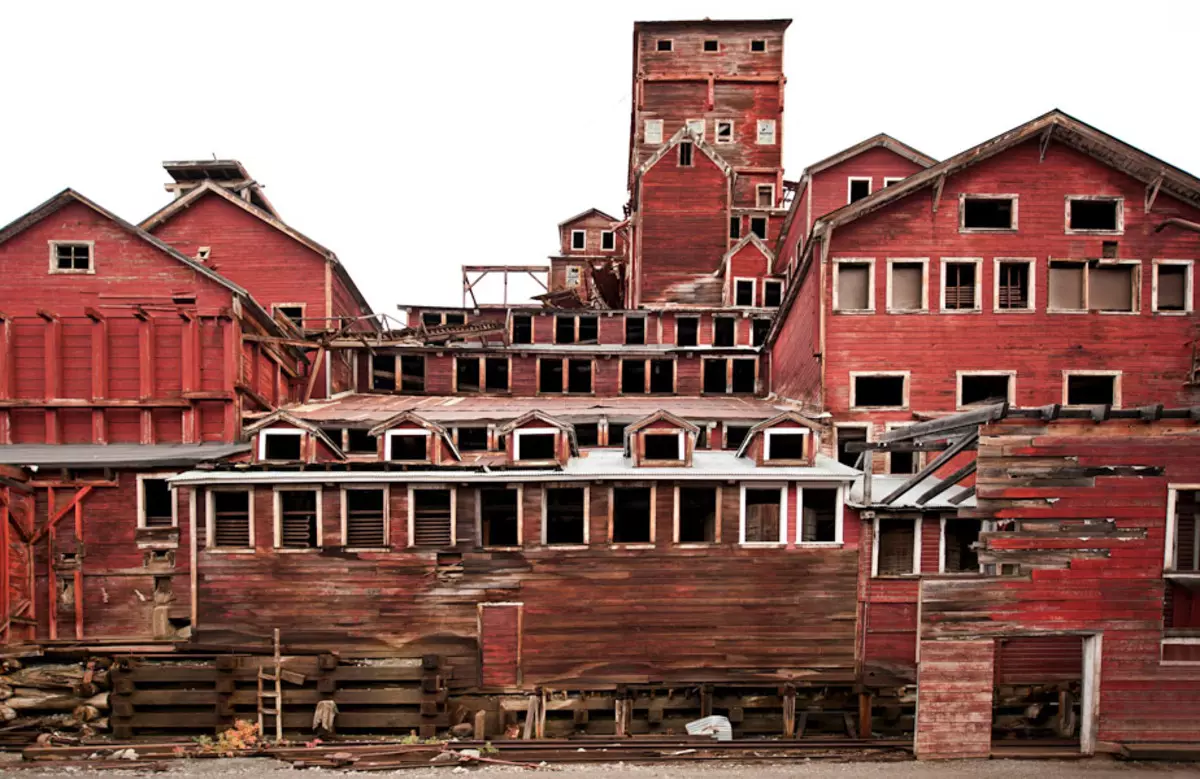 Rejser i Alaska med Photographer Navid Baraty (Navid Baraty) 12719_14