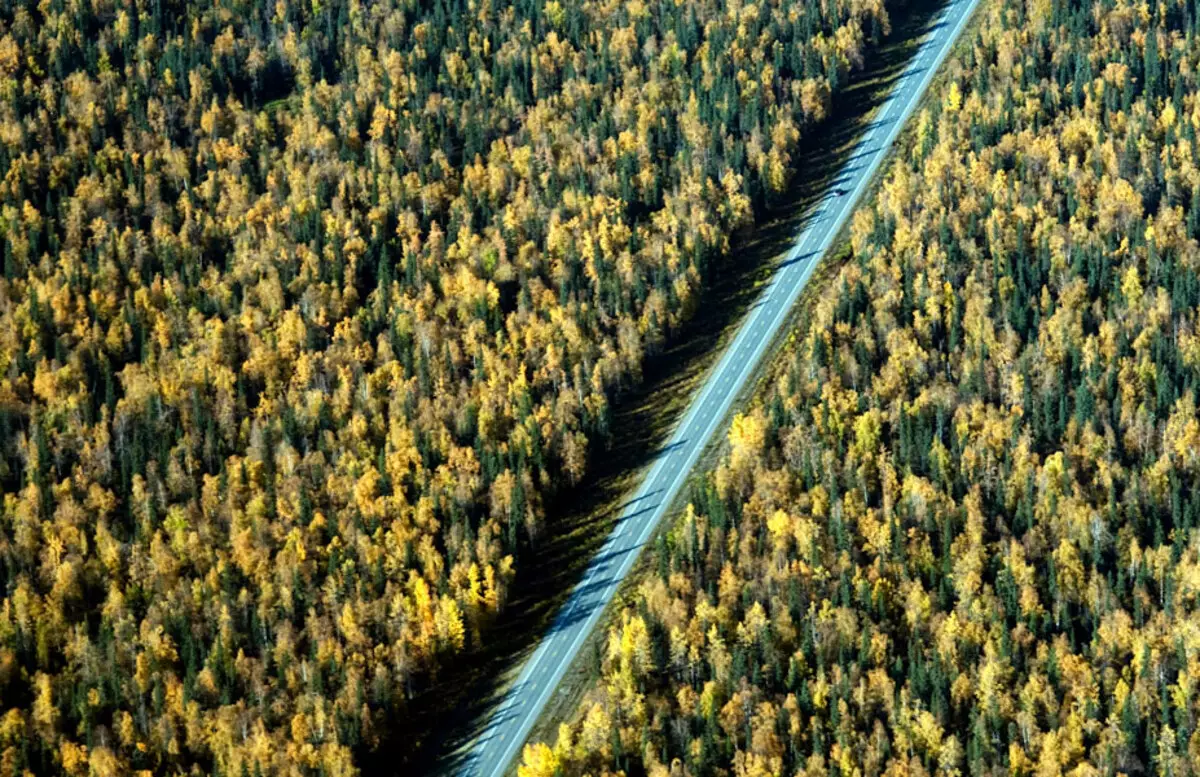 Naglalakbay sa Alaska na may Photographer Navid Baraty (Navid Baraty) 12719_5