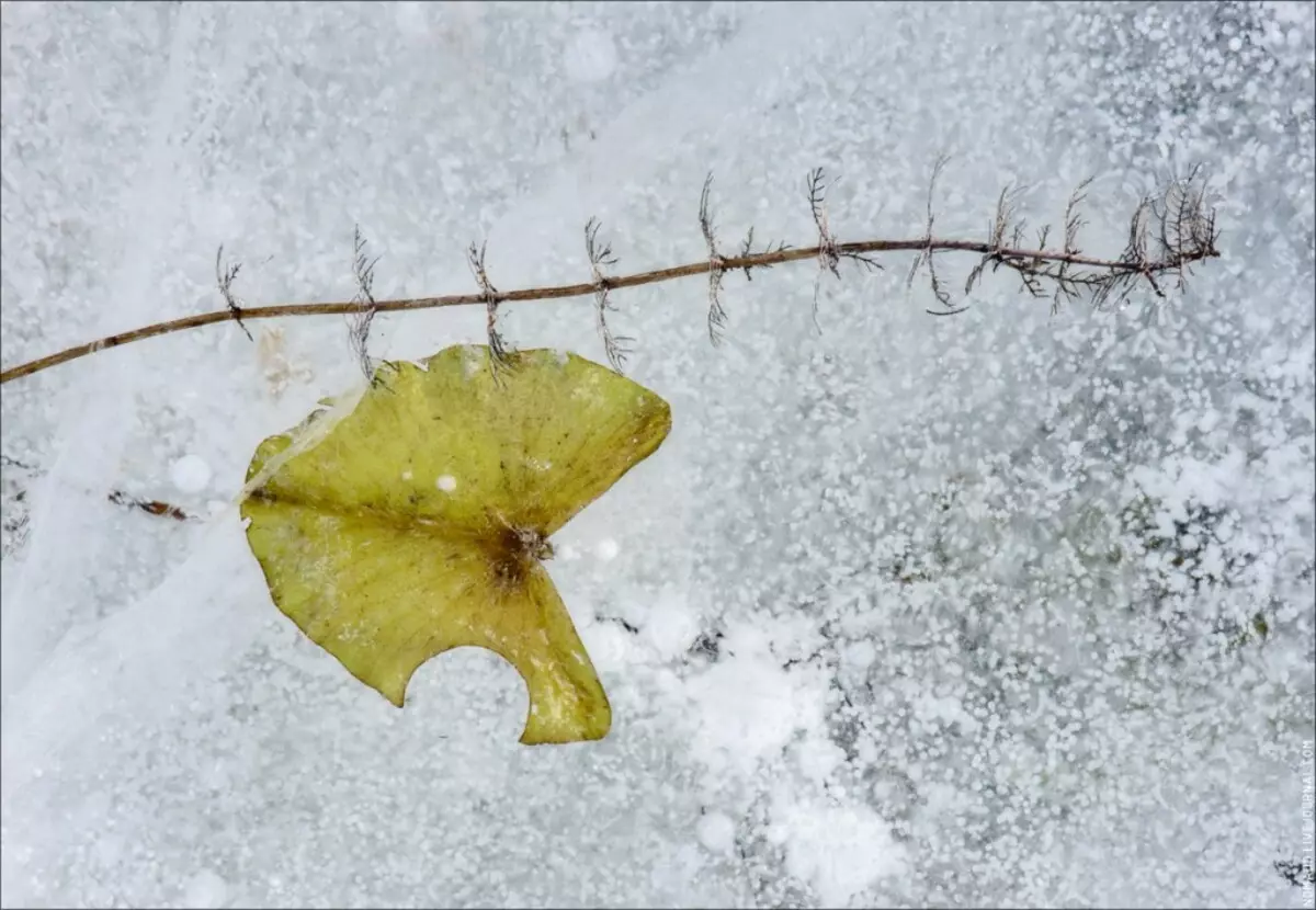 Muinasjutt Ice Baikal ... fotograaf rostislav masinad 12725_16