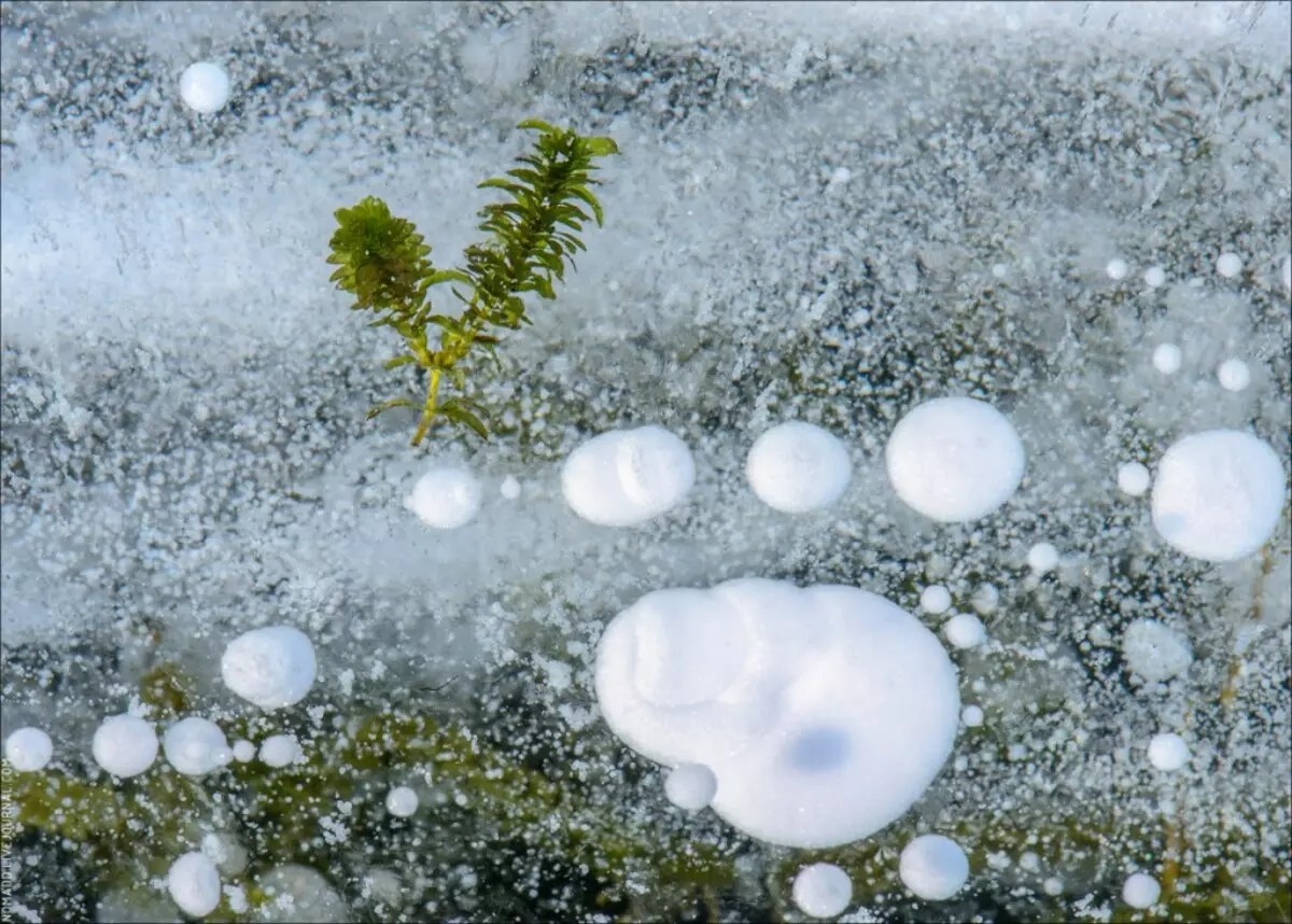 Fairy Tale of Ice Baikal ... Photograph Rostislav 12725_18