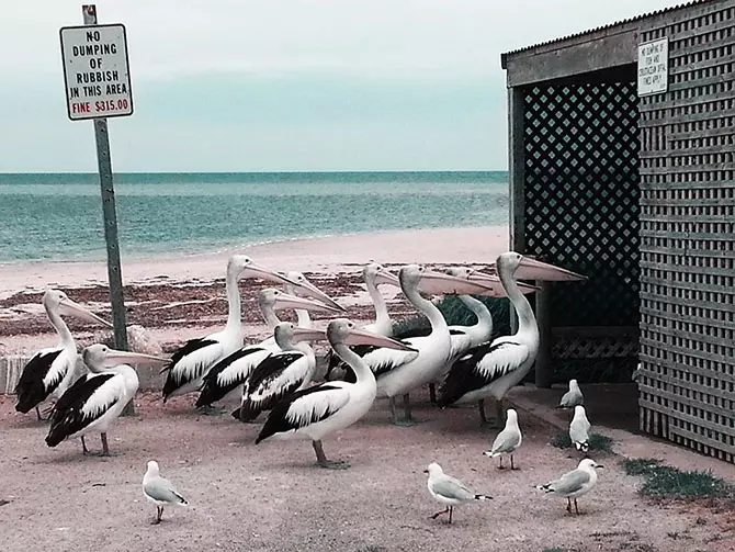 Najlepsze zdjęcia z konkursu Sony World Photography Awards 2015