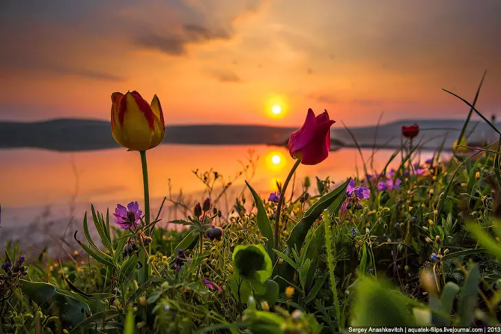 Primavera a Crimea