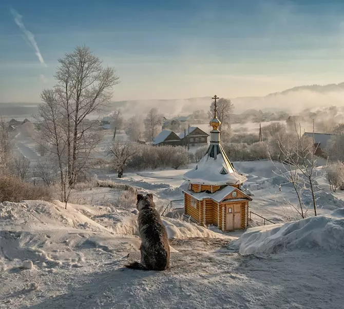 Beste foto's van februari 2015