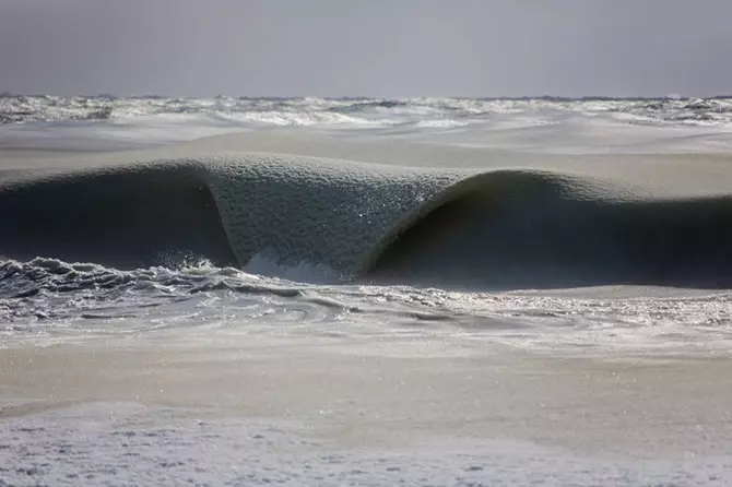 Beste foto's van februari 2015