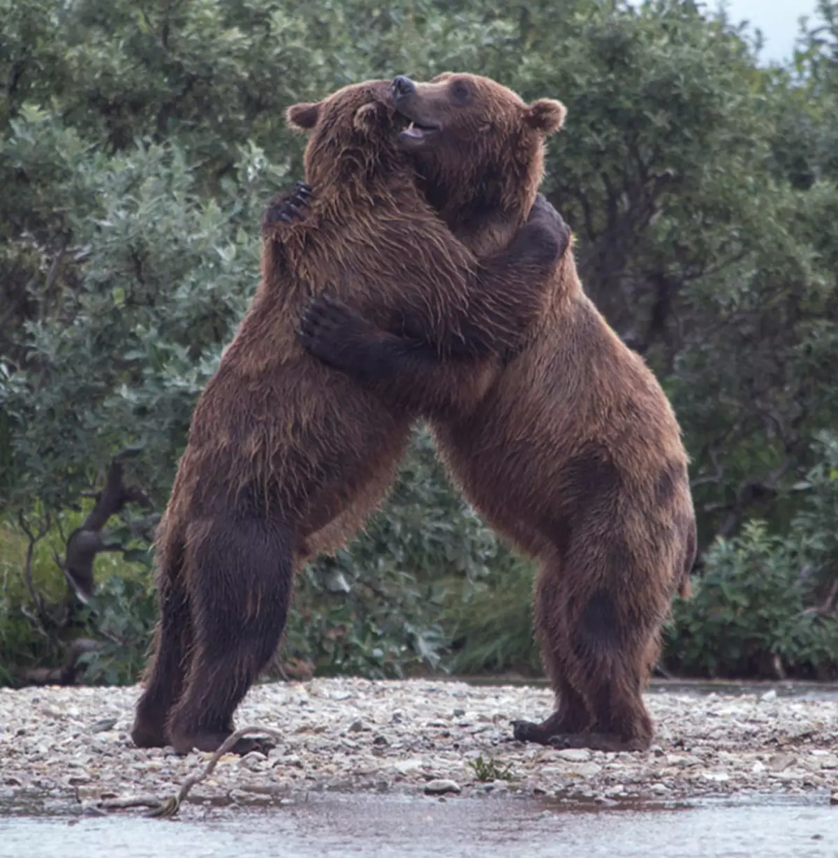 Beste foto's van februari 2015