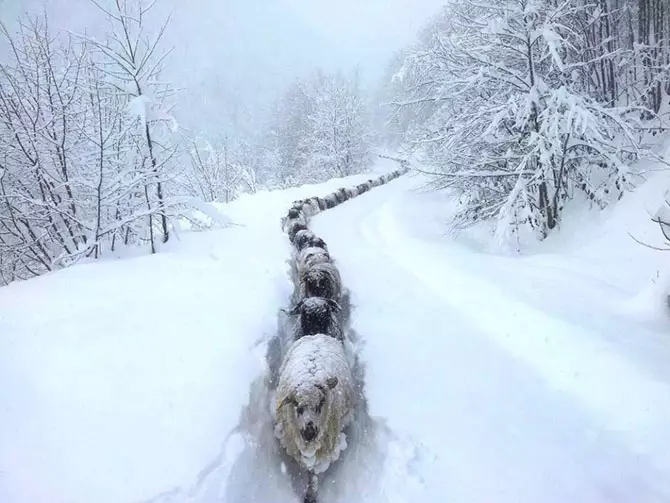 Beste foto's van februari 2015