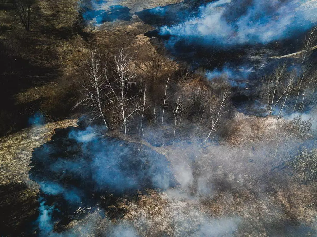 Russland schreift e Vugel Aen Vue: Foto vun Alexander Murashkkina