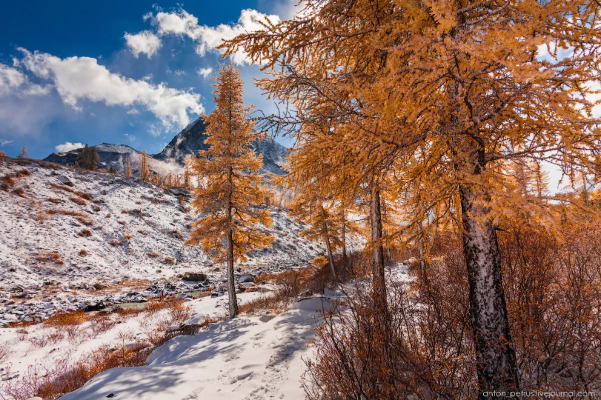 11. Esas son las fotos que caminamos a Belukha. Es este estado del clima que hemos estado ansiosos por ver. Y taki D.