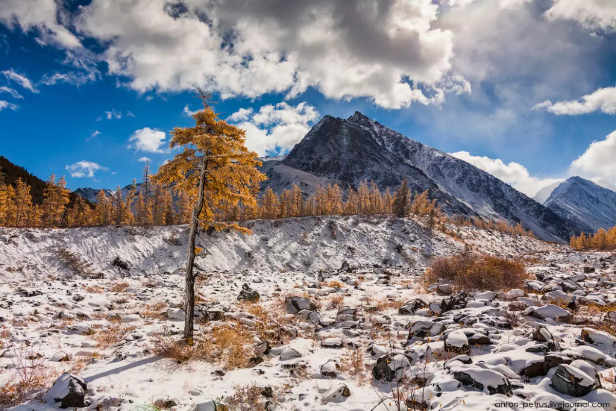 13. Ugu dambayntiina, Beukasha - Tsaar Mountain, oo ah meesha ugu sarreeya ee Betee, wuxuu bilaabay inuu muujiyo cillado dartiis