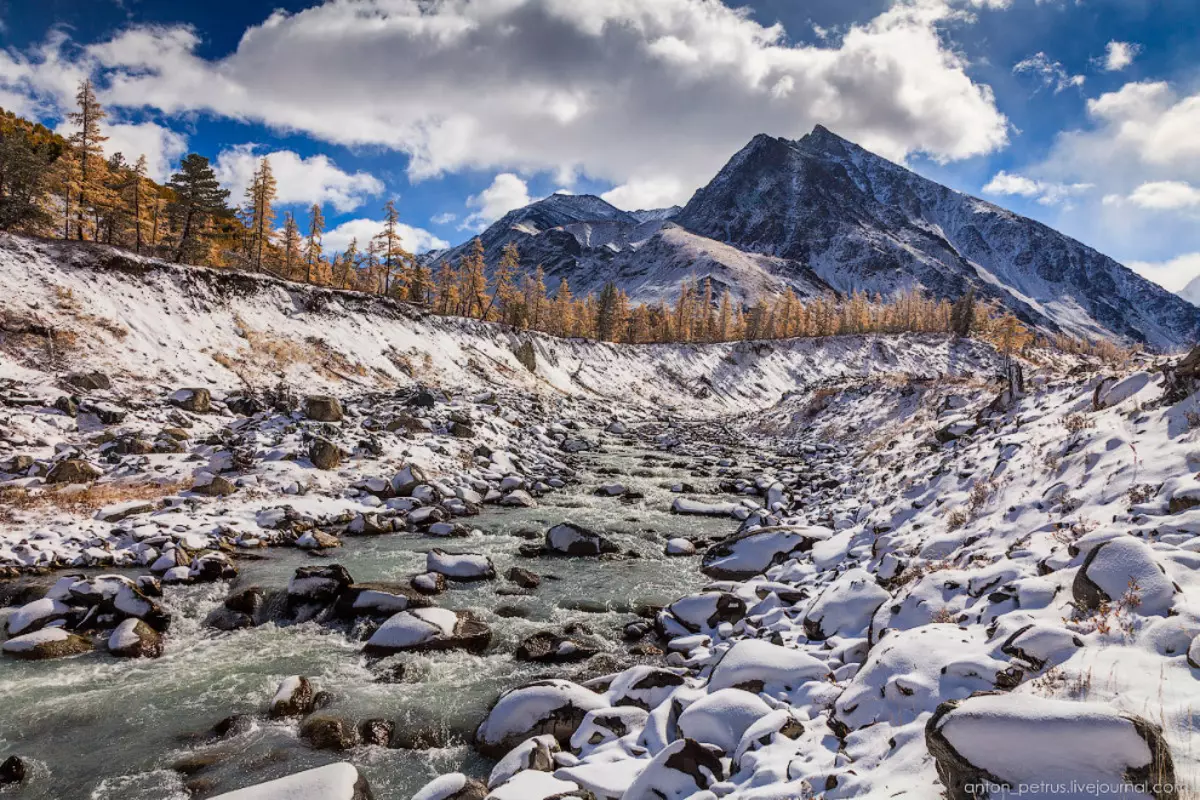 15. Líneas de pesca que brillan intensamente en la orilla del río. Si la nieve, se podría imaginar que estos son zlatolistas,