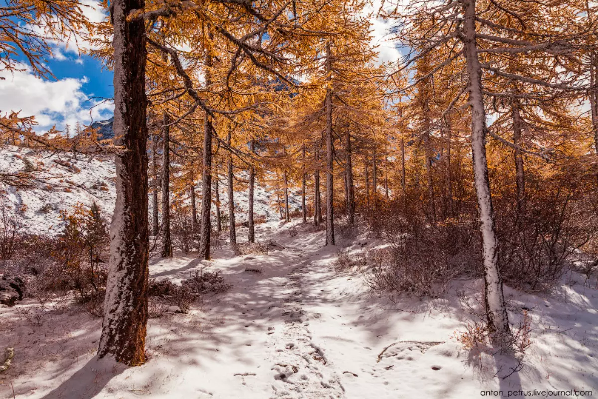 16. Las pequeñas nubes se arrastraron a través del cielo. Lo sentimos en la nieve por la noche fue otra vez, pero después de un regalo tan era