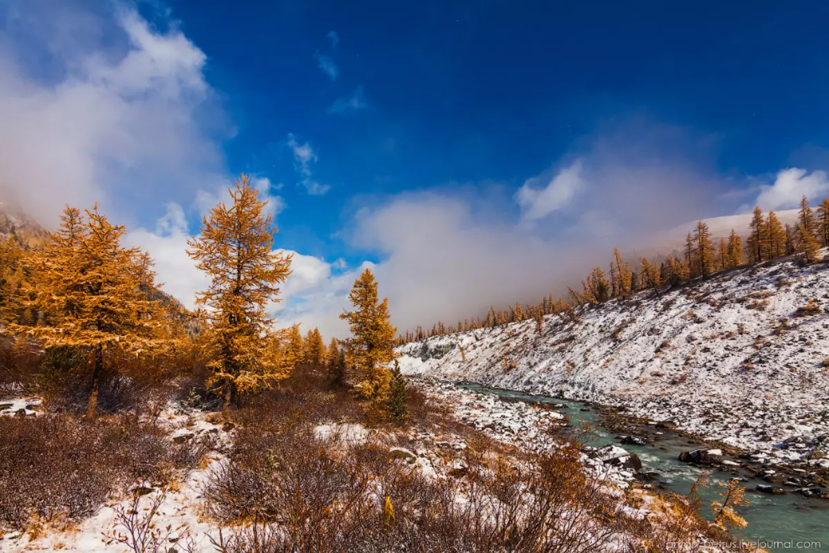 8. Ang araw ay iluminado ang landscape, at ang ginto larch ay nagsimulang maglaro sa hindi kapani-paniwala na liwanag.