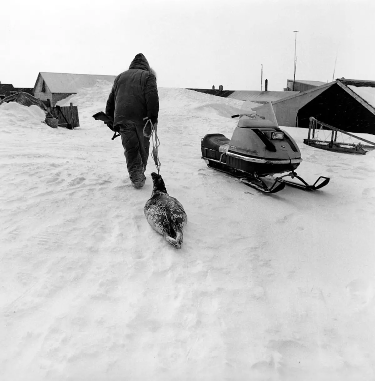 Življenje v Eskimo vasi Aljaske. Fotograf alex harris.