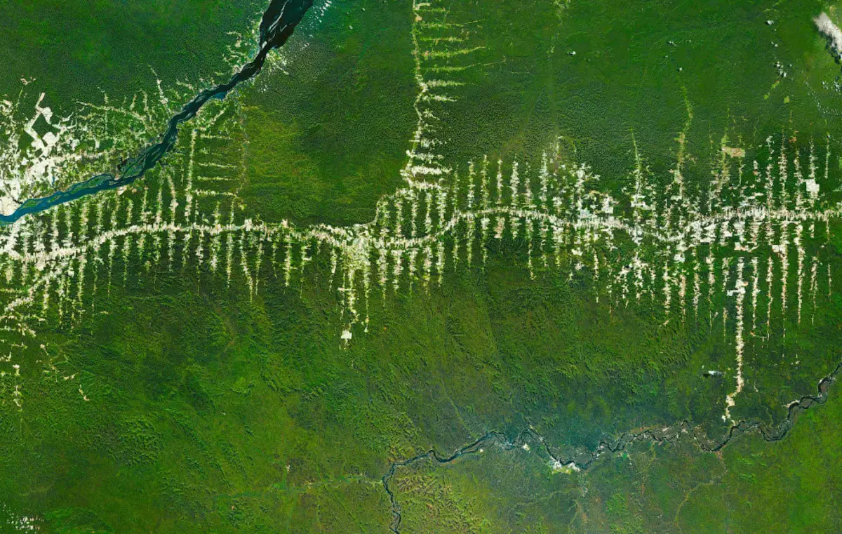 10. Obstbäume in der Provinz Wales, Spanien. (Foto Benjamin Grant | Digitale Globus):