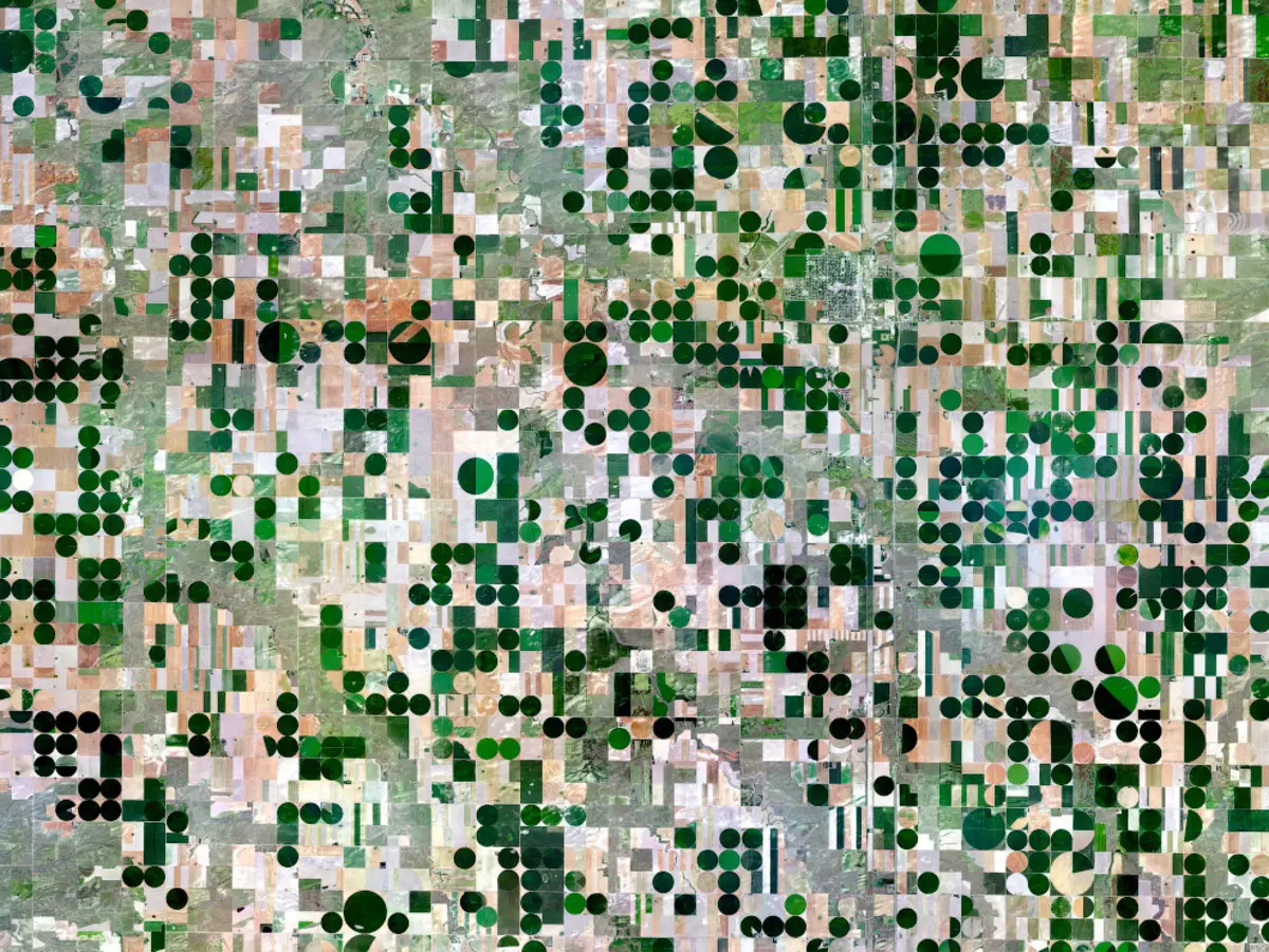 Malae Vaalele i Dallas. (Photo Peniamina Produred | Digital Globe):