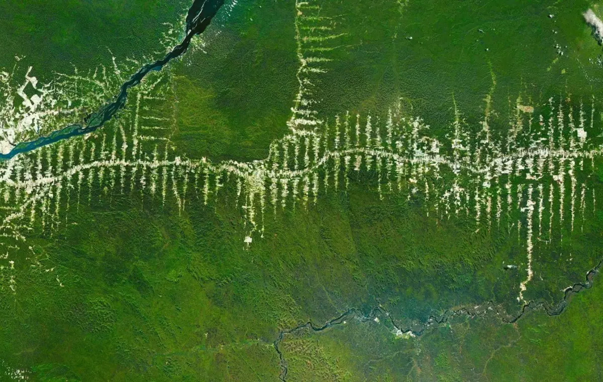 10. Фруктові дерева в провінції Уельва, Іспанія. (Фото Benjamin Grant | Digital Globe):