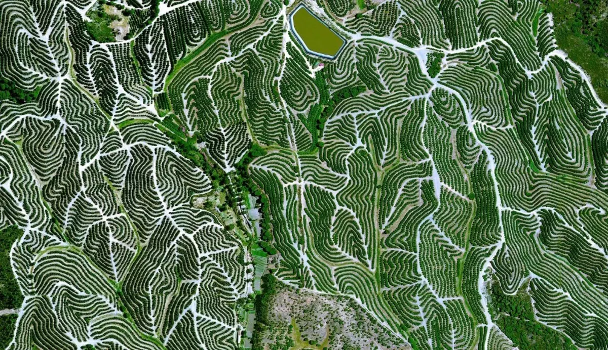 11. Гірська дорога в Італії. (Фото Benjamin Grant | Digital Globe):