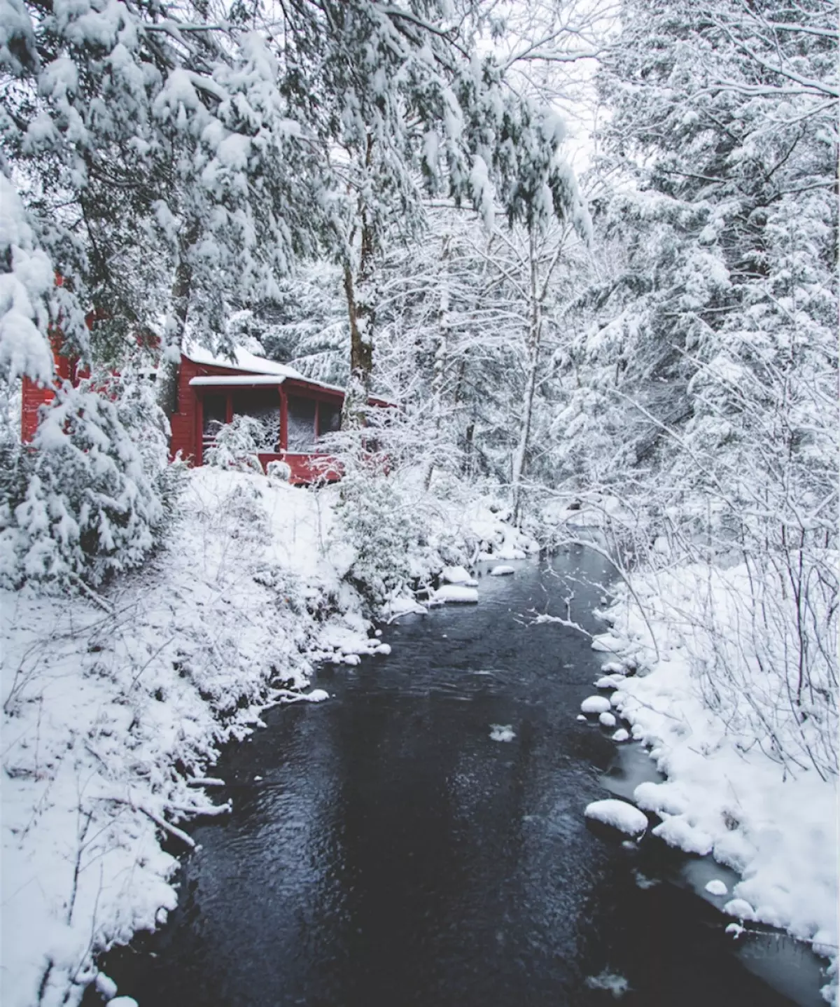 © Kyle Finn Dempsey / Rex / Shutterstock House in het Winter Forest, Massachusetts, VS.