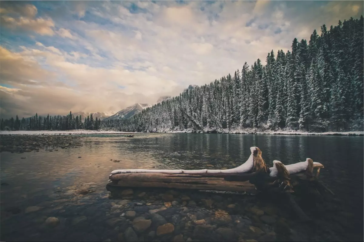 © Juuso Voutilainen / REX / ShutterStock ტბა Alberta, კანადაში.