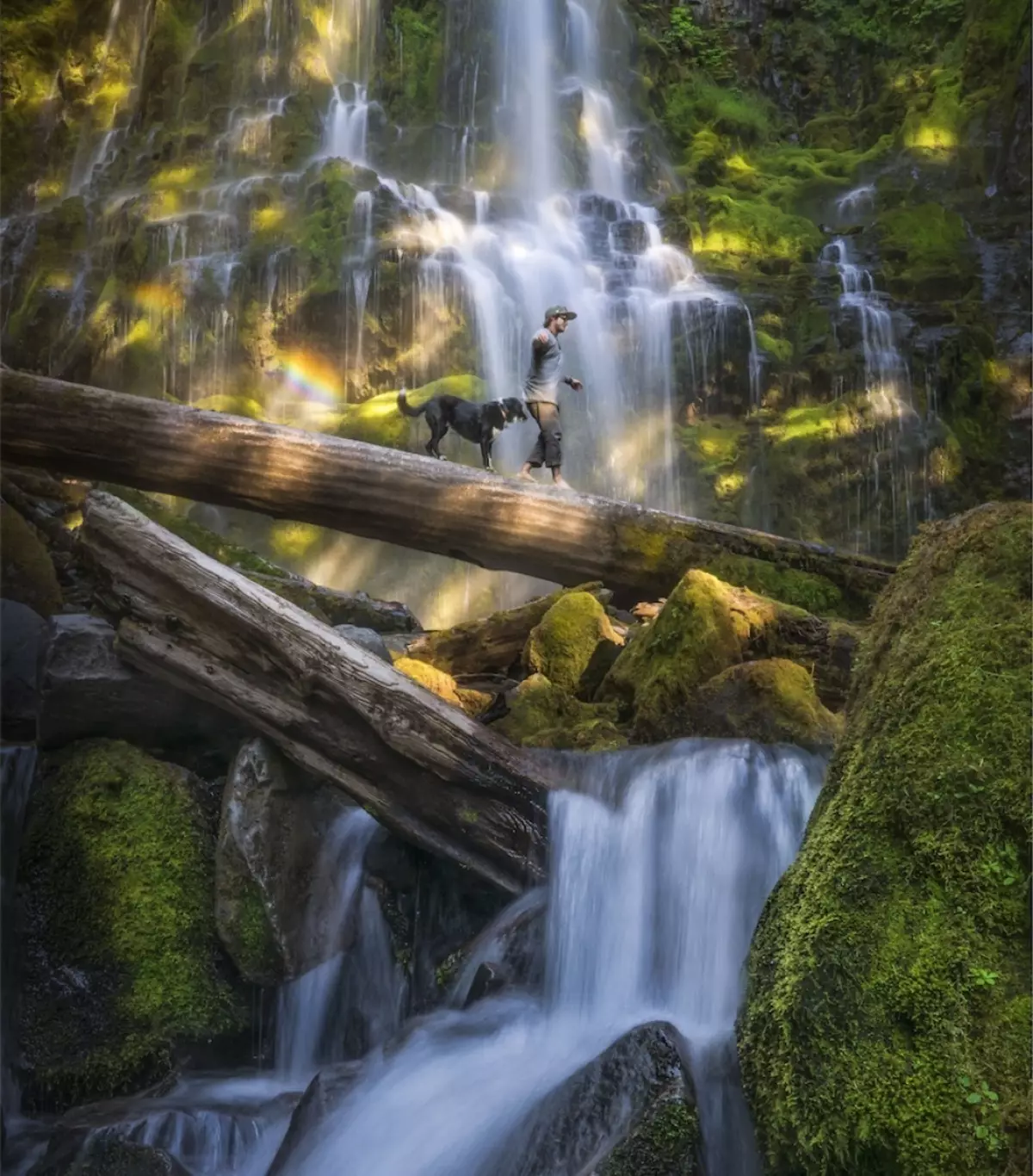 © andrew Studer / REX / Shutterstock ტყის ჩანჩქერი Oregon.