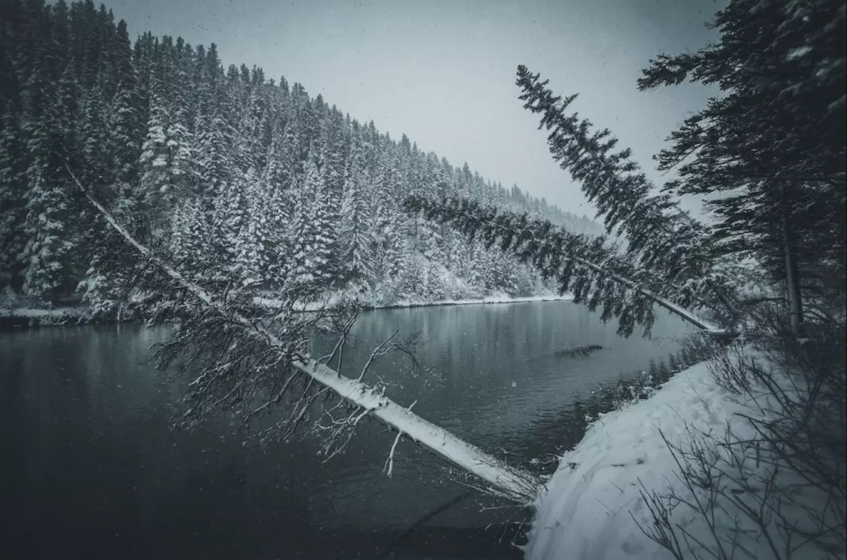 © Juuso Voutilainen / Rex / Shutterstock Canadian Alberta - Bu sert yerlerde kaldırıldı