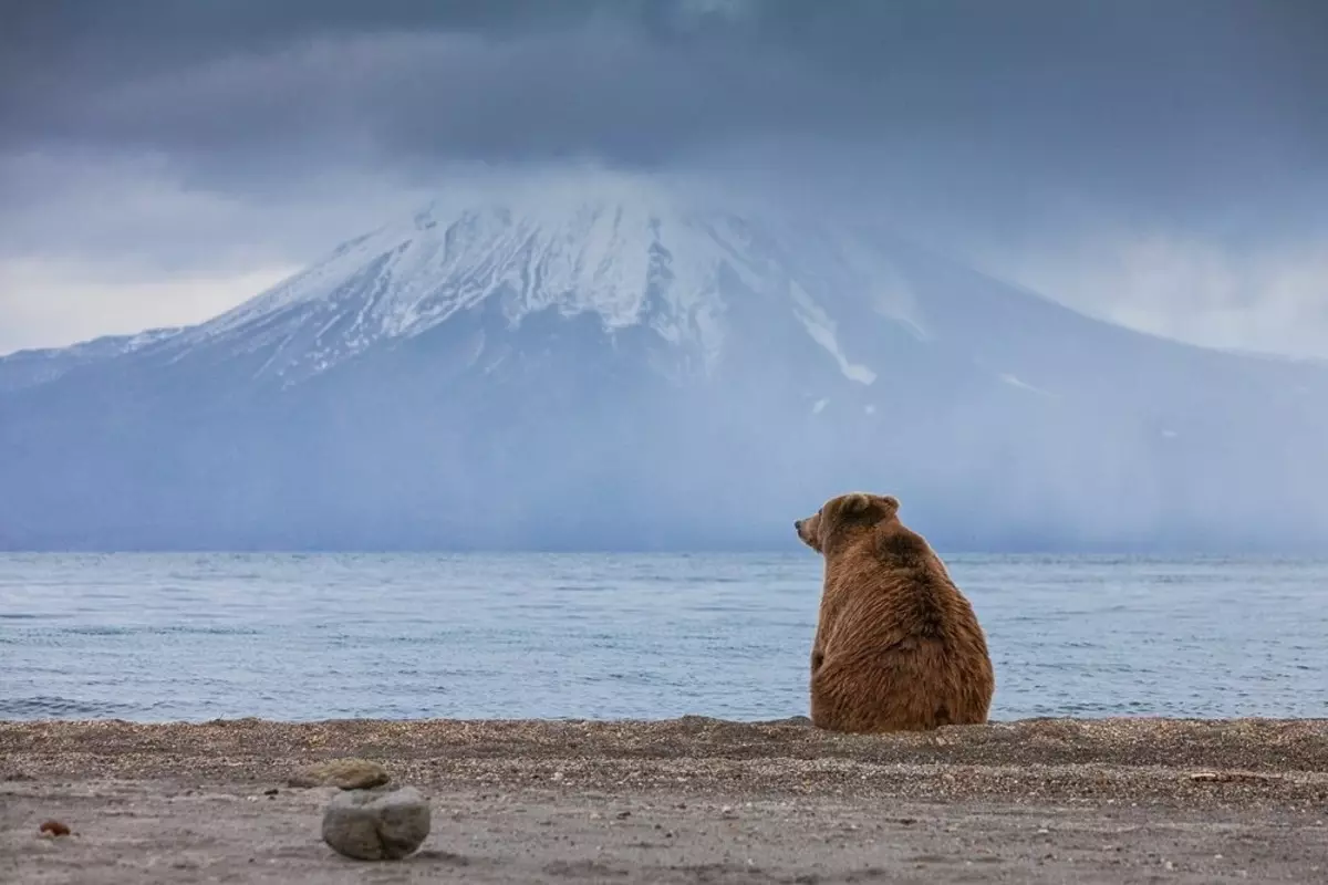 © Sergey Krasnoshekov Kamchatka 로의 여행을 연기 할 때마다,