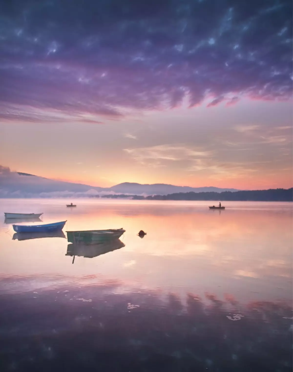 © Marcin Sobas / Rex / Shutterstock 폴란드어 실레 지아의 호수에 안개가 자욱한 새벽. (더 많은 호수