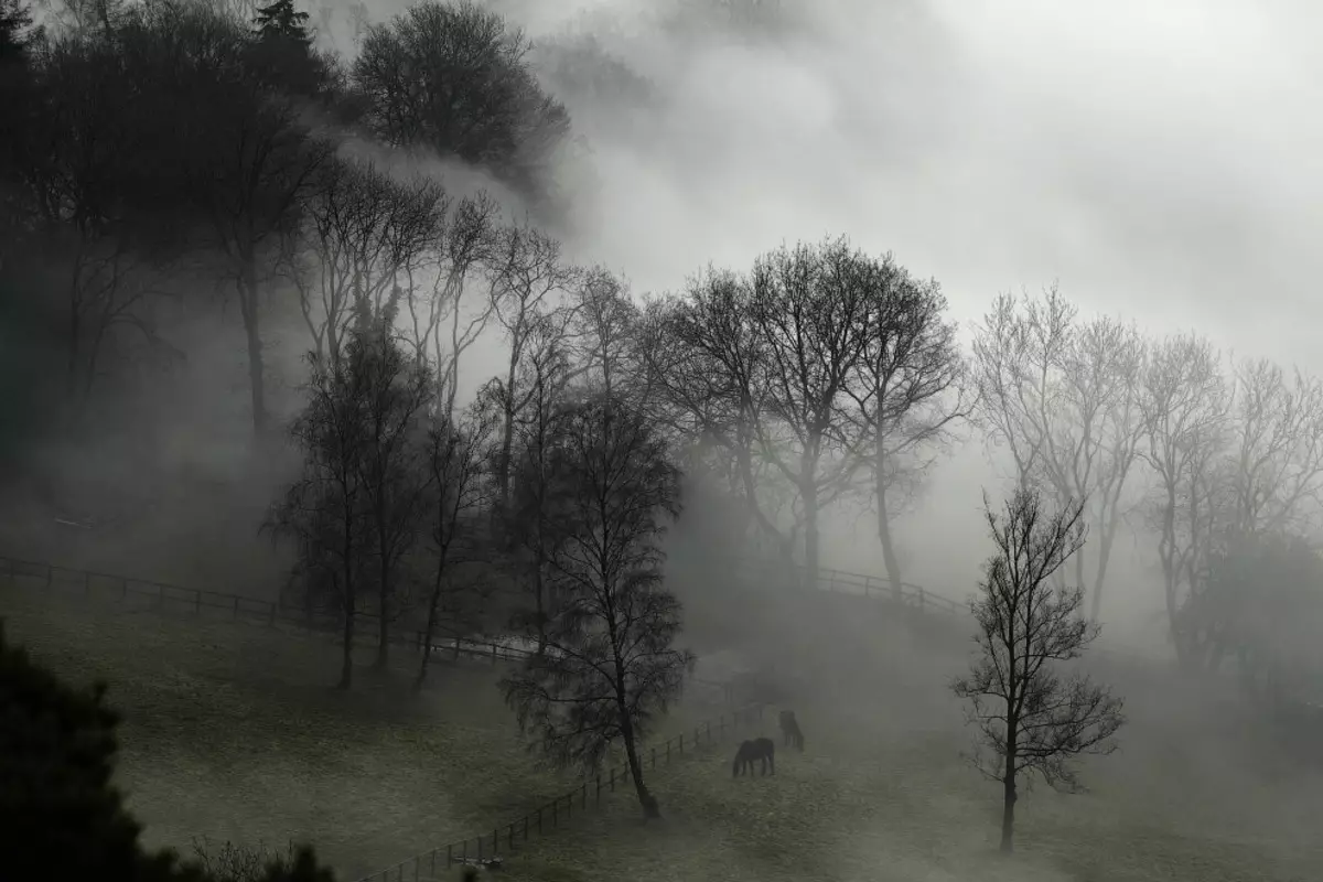 4. Fogs pêşî li operasyona normal ya hemî celebên veguhastinê (bi taybetî avjenî) digire. Li vir balafirê ye