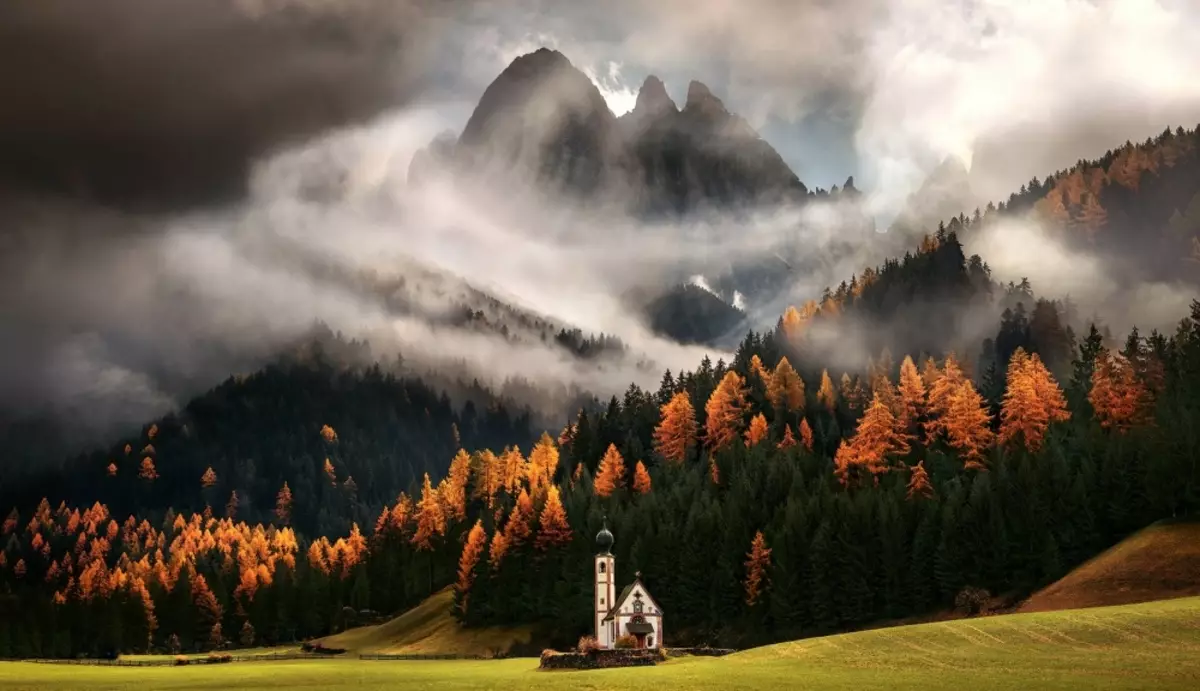 © Max rive pamucheto