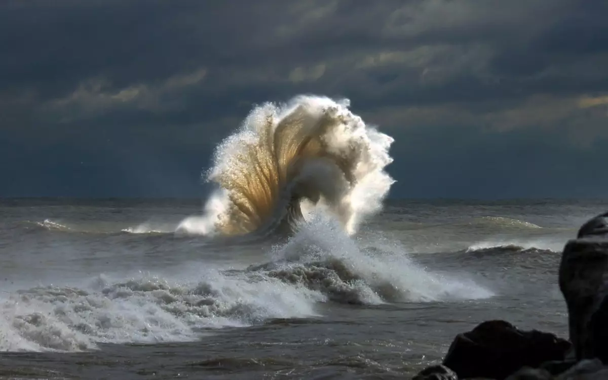 © panoramio Діалог