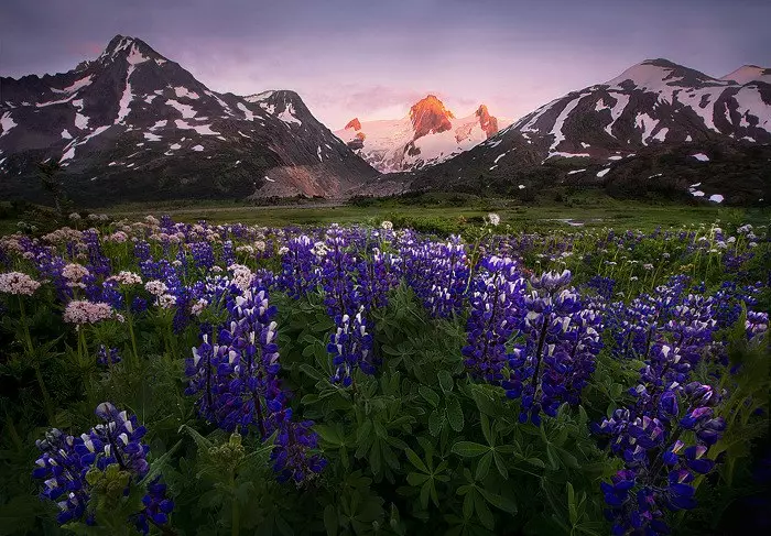 黎明在地球的不同部分。他是什麼？攝影師Marc Adamus。