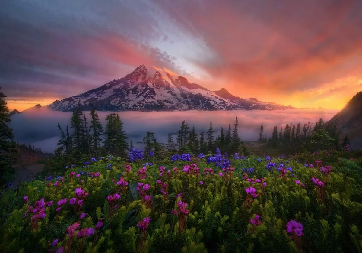 Dawn mewn gwahanol rannau o'r blaned. Beth yw e? Ffotograffydd Marc Adamus.