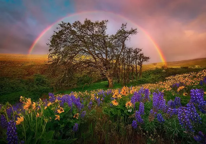 Dawn dažādās planētas daļās. Kas viņš ir? Fotogrāfs Marc Adamus.