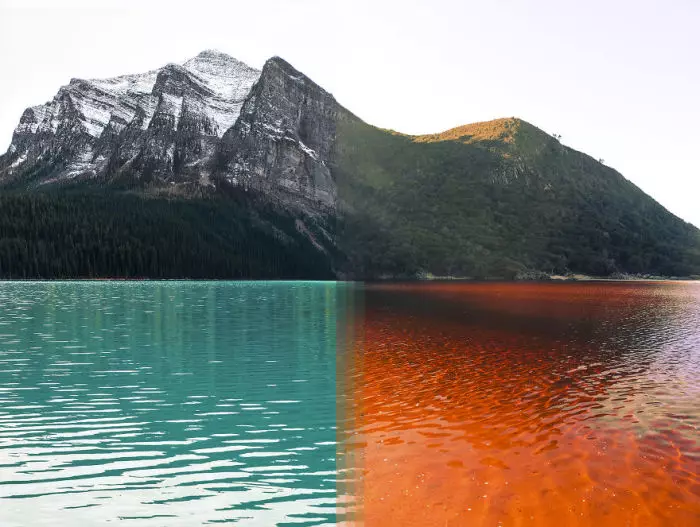 Banff National Park, Kanada och Tsyitsikamma National Park, Sydafrika.