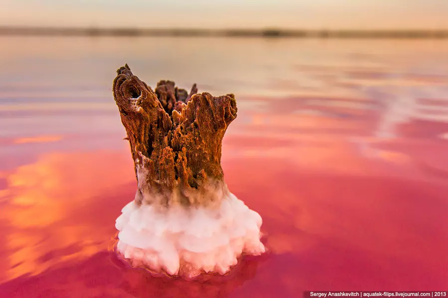 Some fantasy castle in the midst of the Red Sea: