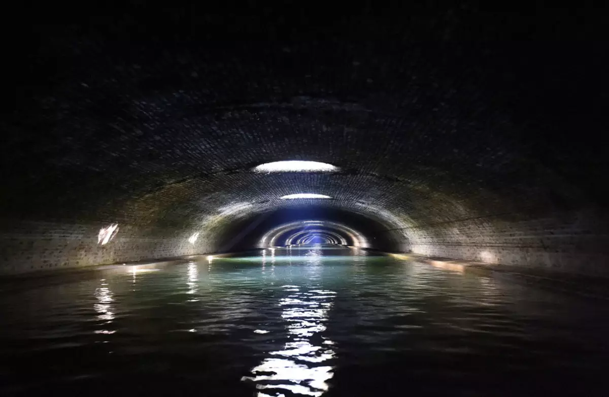 6. Famosi residenti della caverna - pipistrelli in una grotta a Mikulov. Quasi tutti i pipistrelli ve