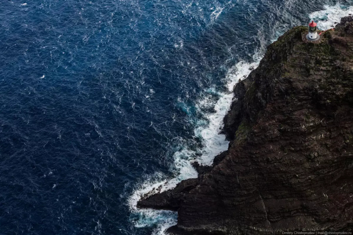 47. Ja lopuksi useita hauskoja tosiasioita: Hawaiian Alphabia