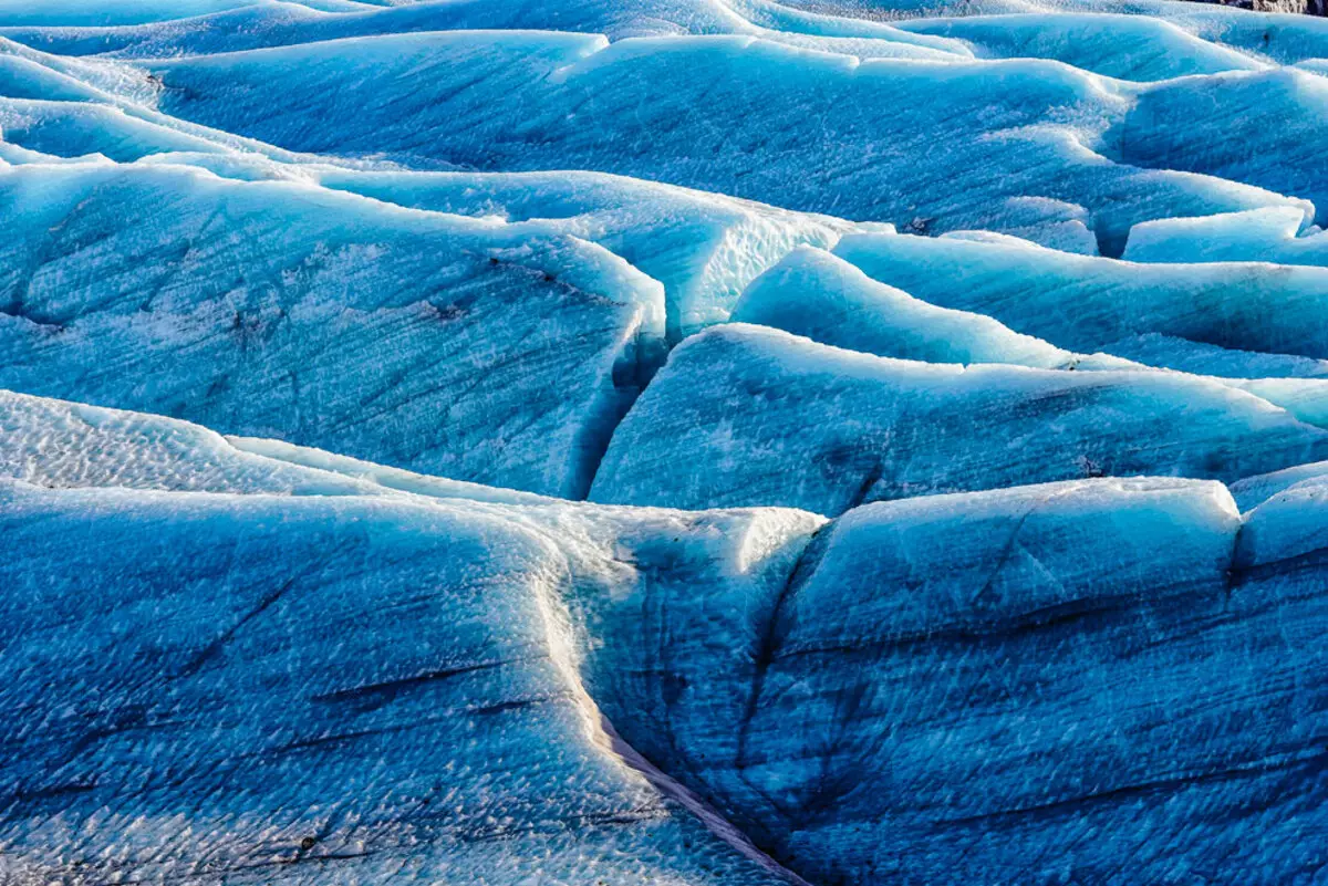 De viktigaste glaciärerna ligger på Ice Oceanöarna - Svalbard, Franz-Io Land