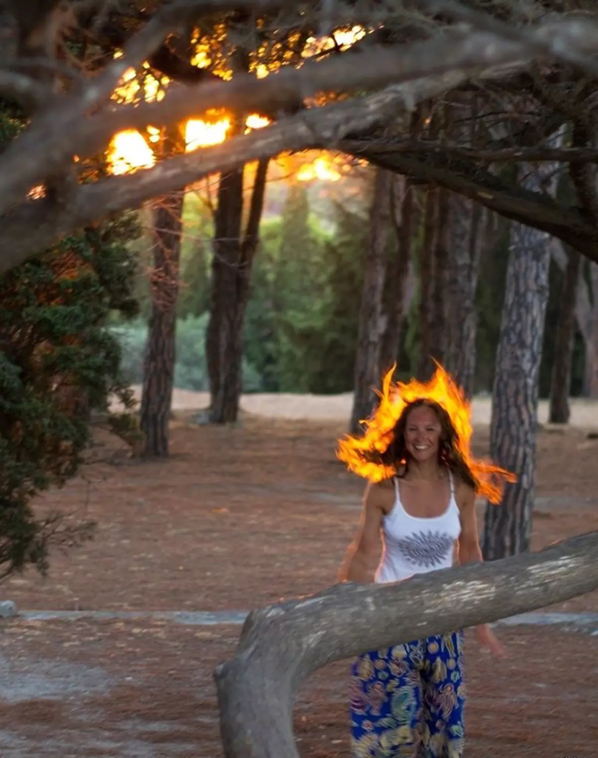 תמונות מ גובה מרתק תמונה יופי ברכבת התחתית גובה מדהים עם גובה