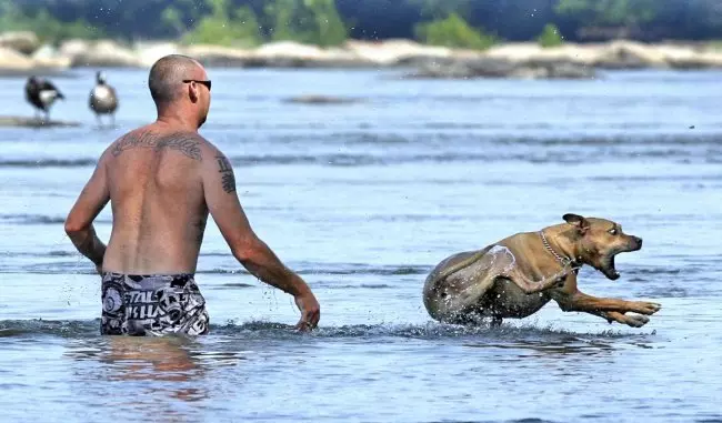 Lepe okvirje za zaustavitev