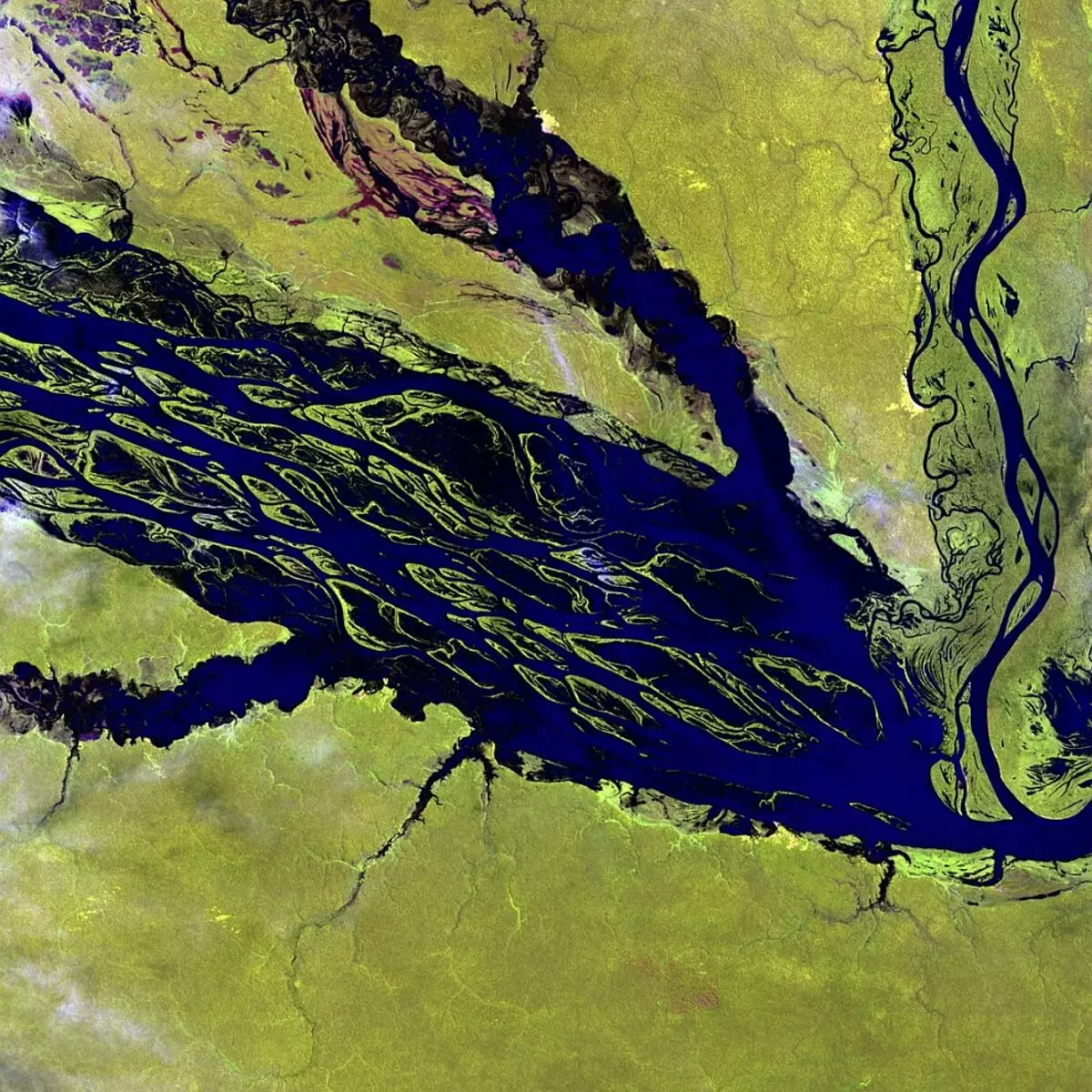 Satellite photos of the earth as art