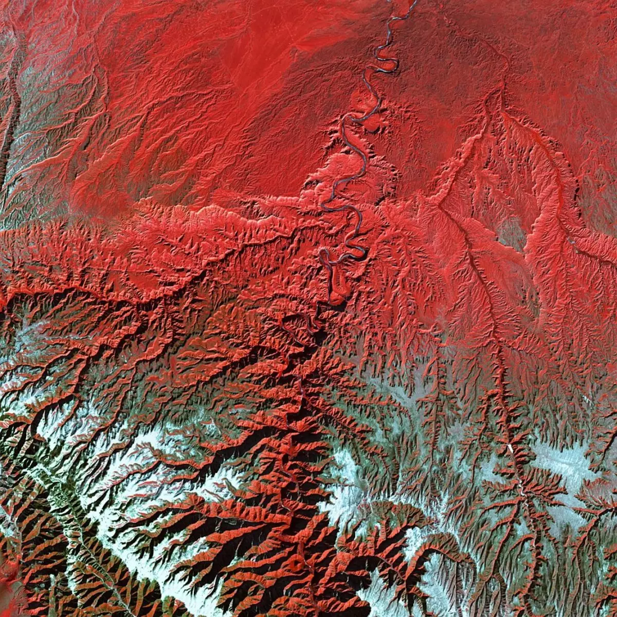 Satellietfoto's van die aarde as kuns