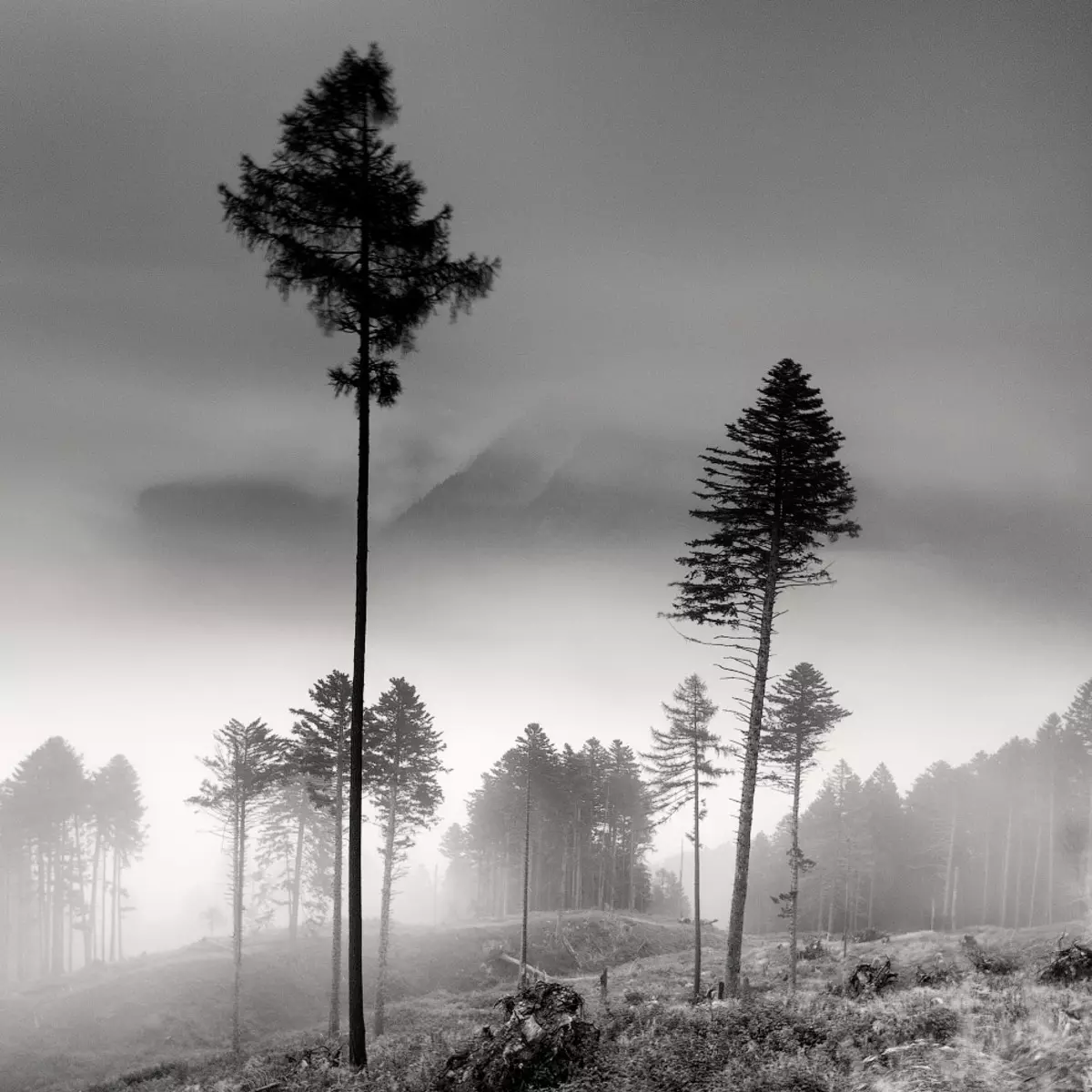 Fotografie konkurencji HD Fotograf konkursy najlepsze czarno-białe czarno-białe