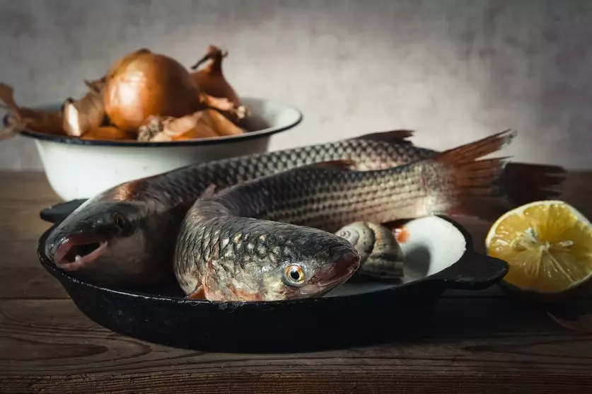 자연, 아직도 생명과 인물 사진 작가의 맛이 미묘한 맛을 가진 인물 1771_11