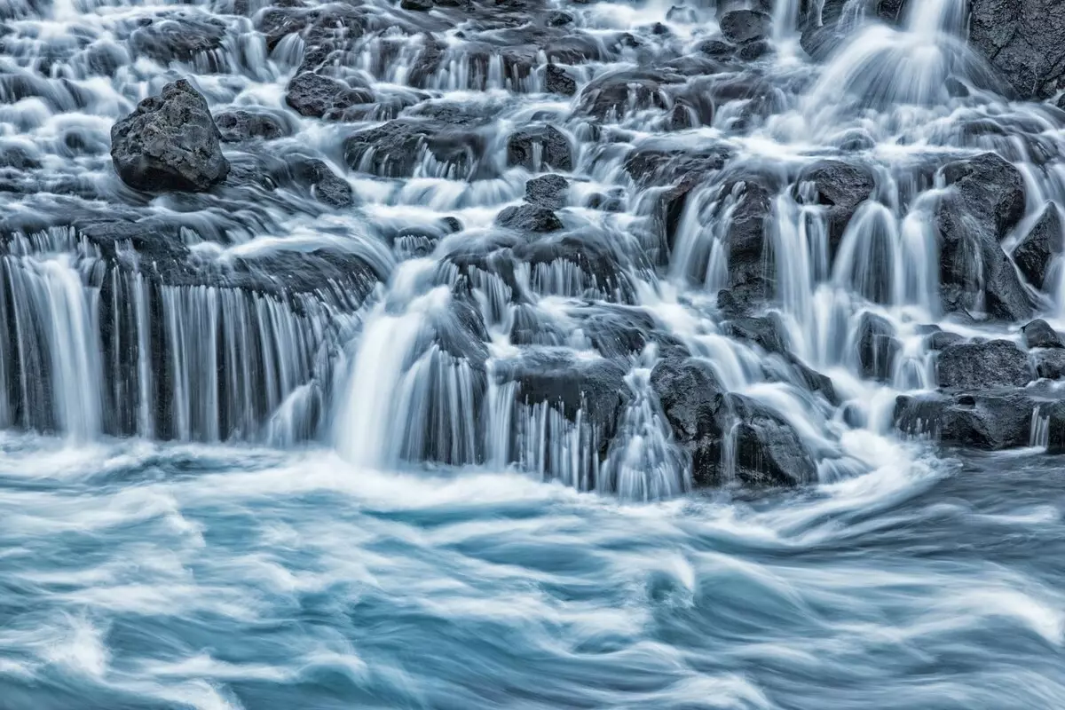 Årets naturfotograf 2020: bästa bilder av naturen 1798_13