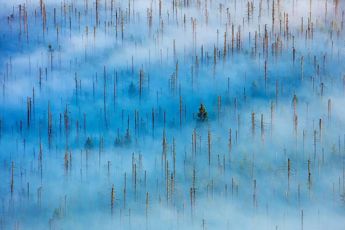 Årets naturfotograf 2020: bästa bilder av naturen 1798_15