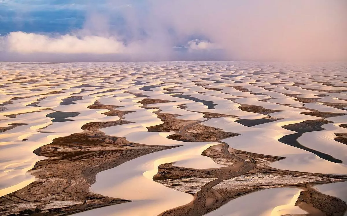 Årets naturfotograf 2020: bästa bilder av naturen 1798_18