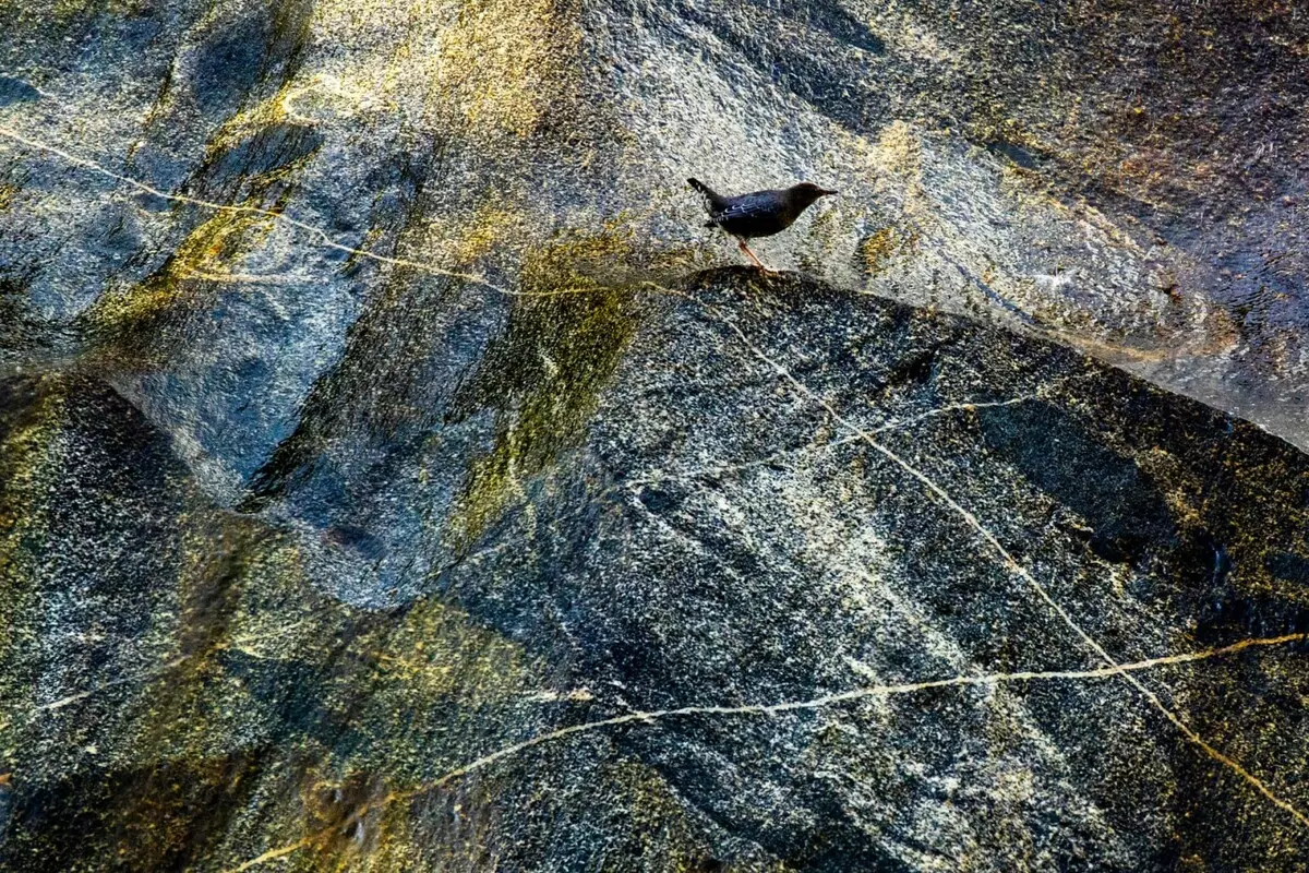 Nati fotograf nan ane a 2020: pi bon foto nan lanati 1798_3