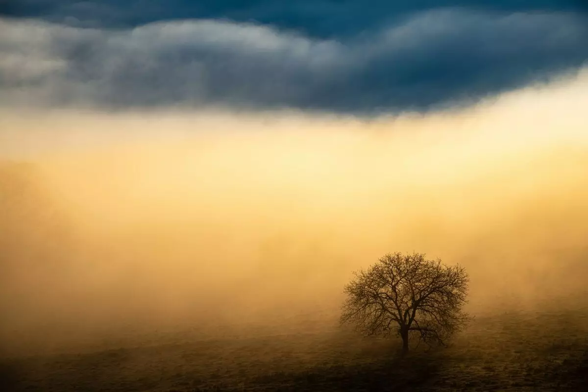 Årets naturfotograf 2020: bästa bilder av naturen 1798_8